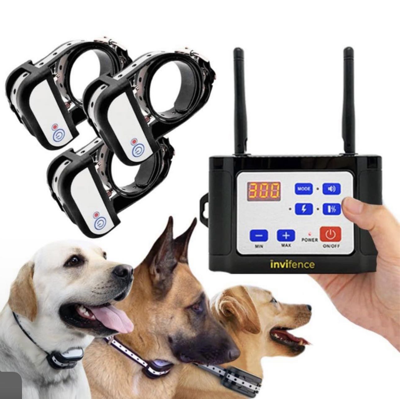 Pets Suppliers – chancys.net